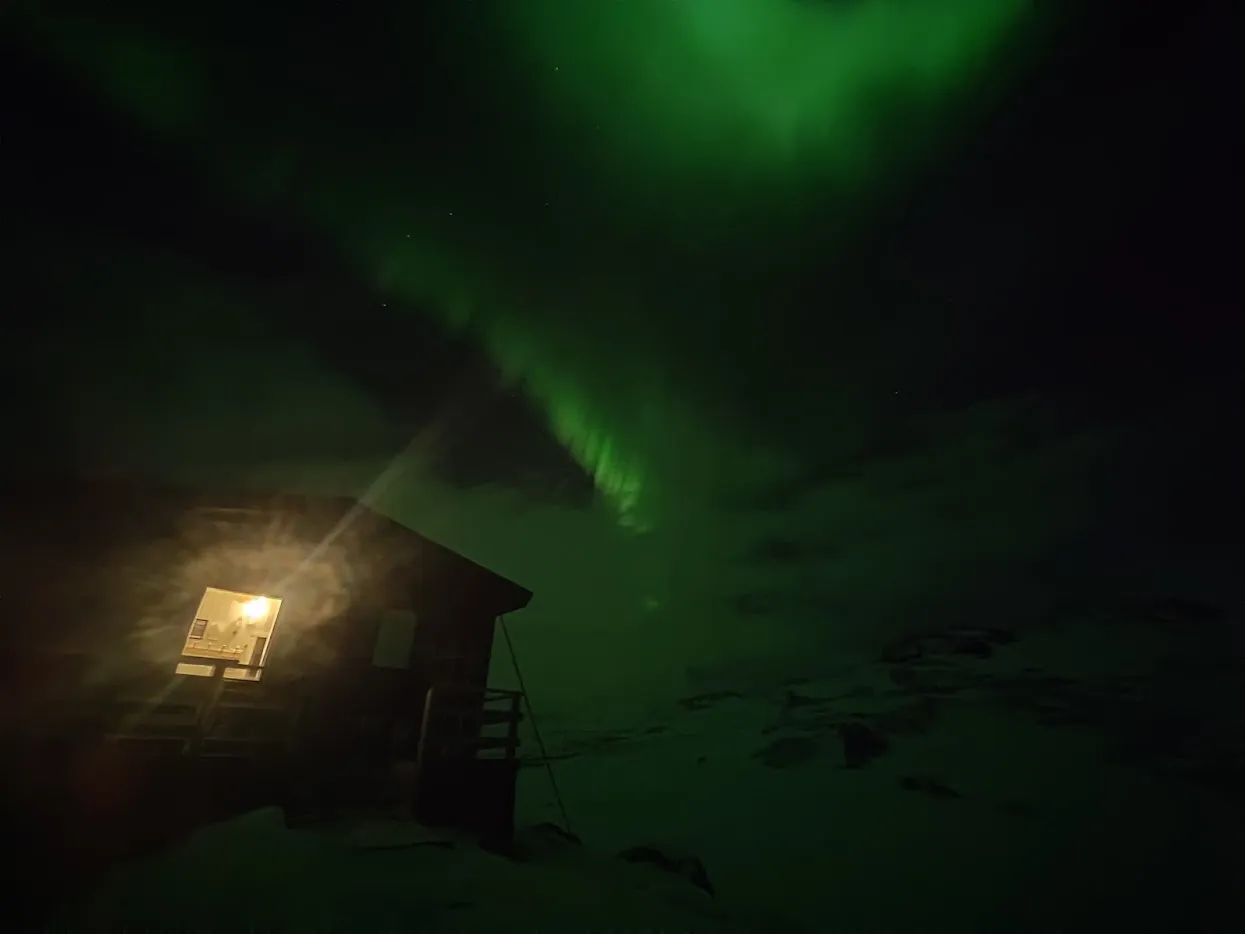 Immersion dans la nature en Laponie : les circuits aurores boréales