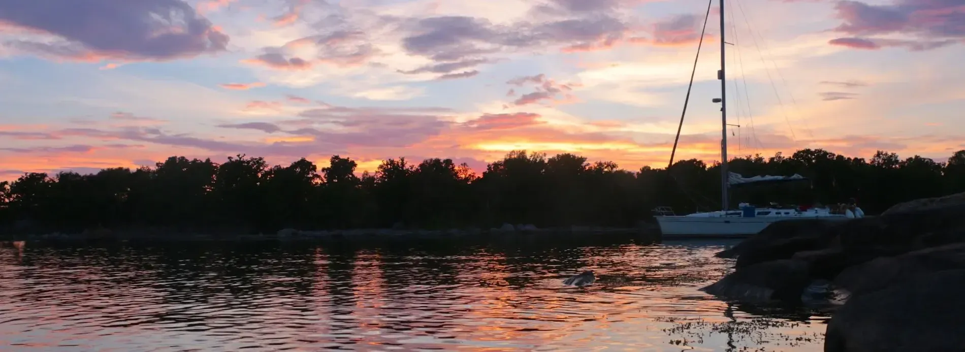 Introduction to sailing: 5 essential tips for getting started at sea