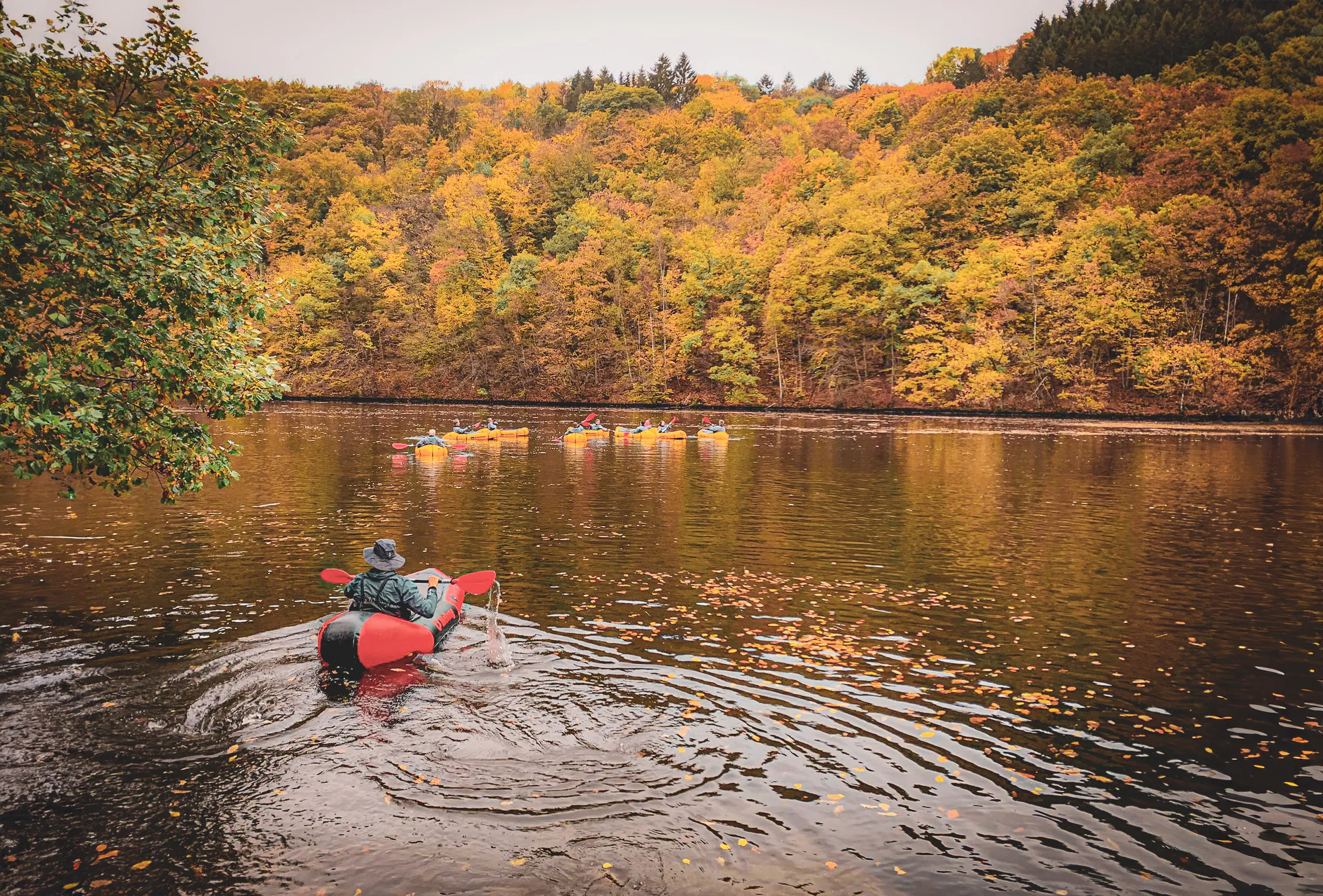 Deer rut and packrafting in the Ardennes