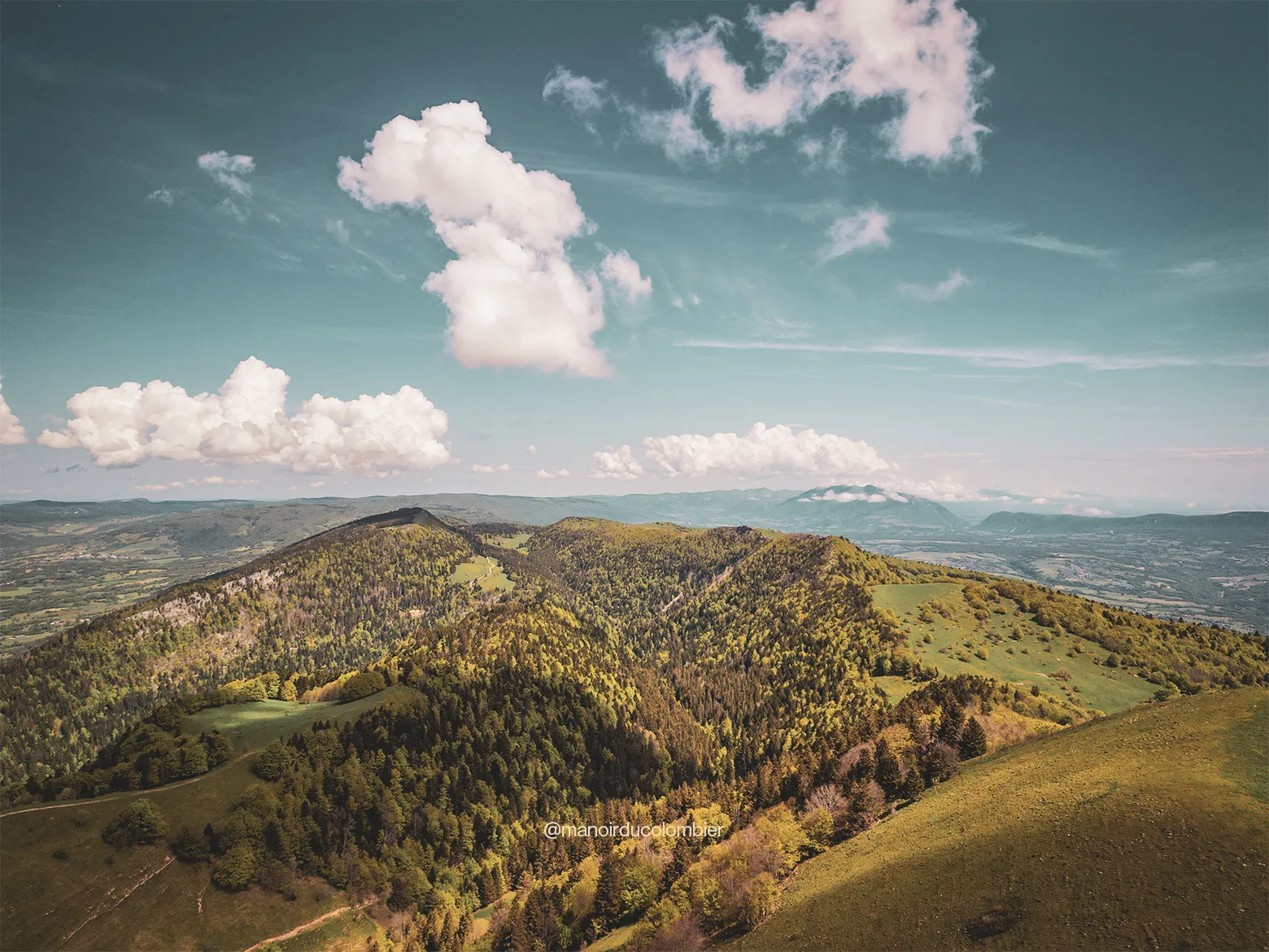 Initiation trail au Grand Colombier dans le massif du Jura
