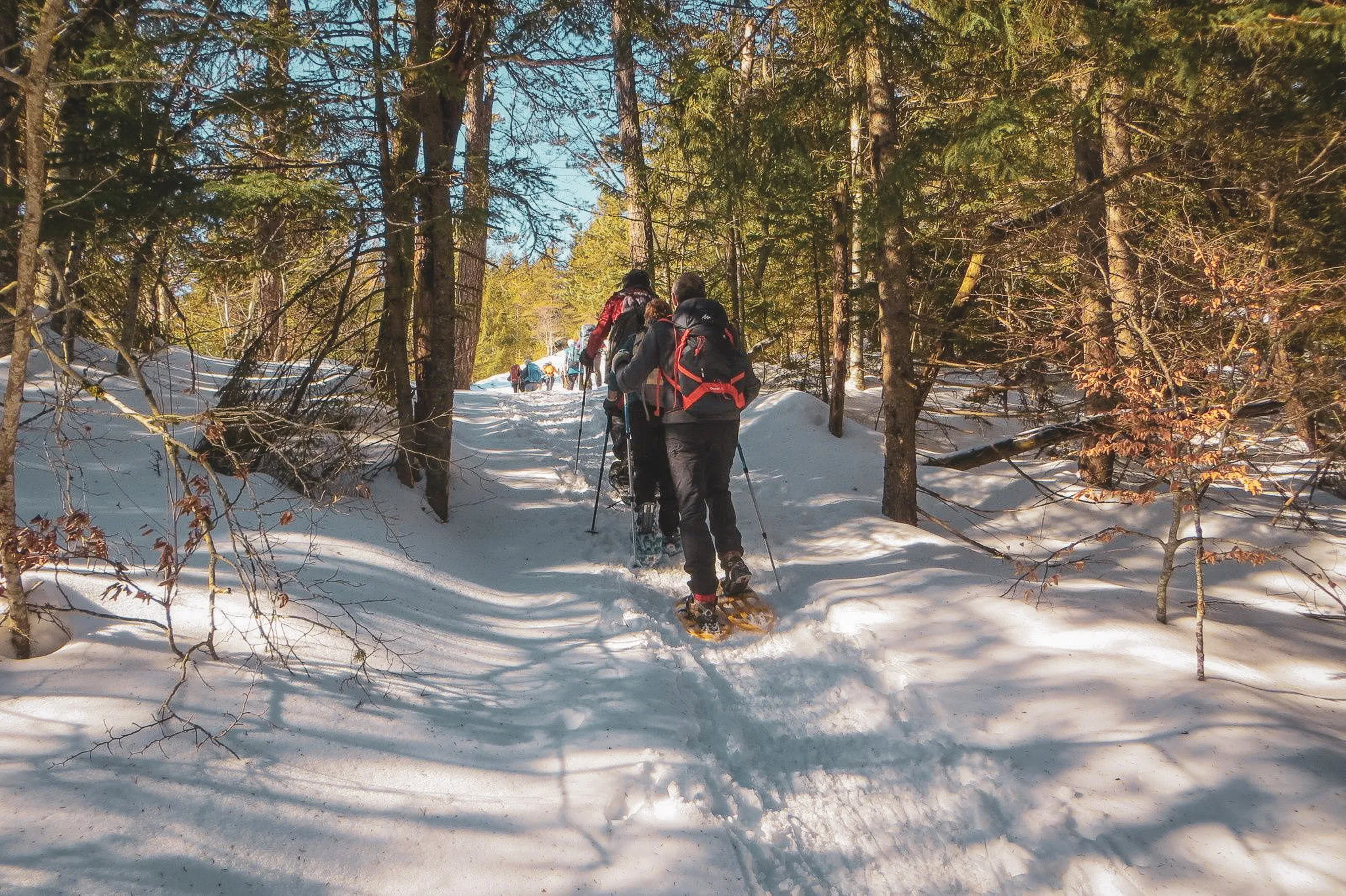 Winter hiking in the Chartreuse Mountains