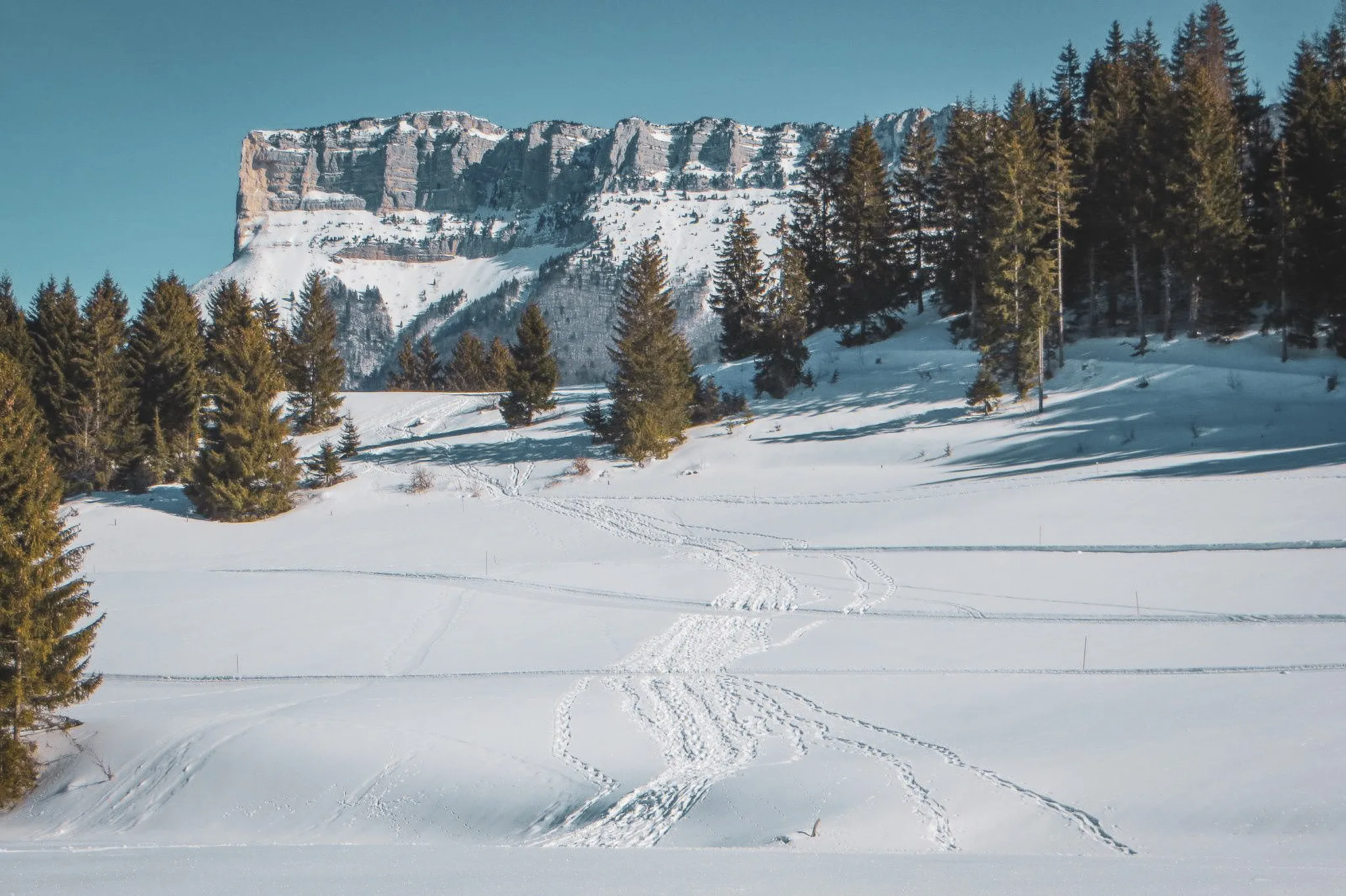 Winter hiking in the Chartreuse Mountains