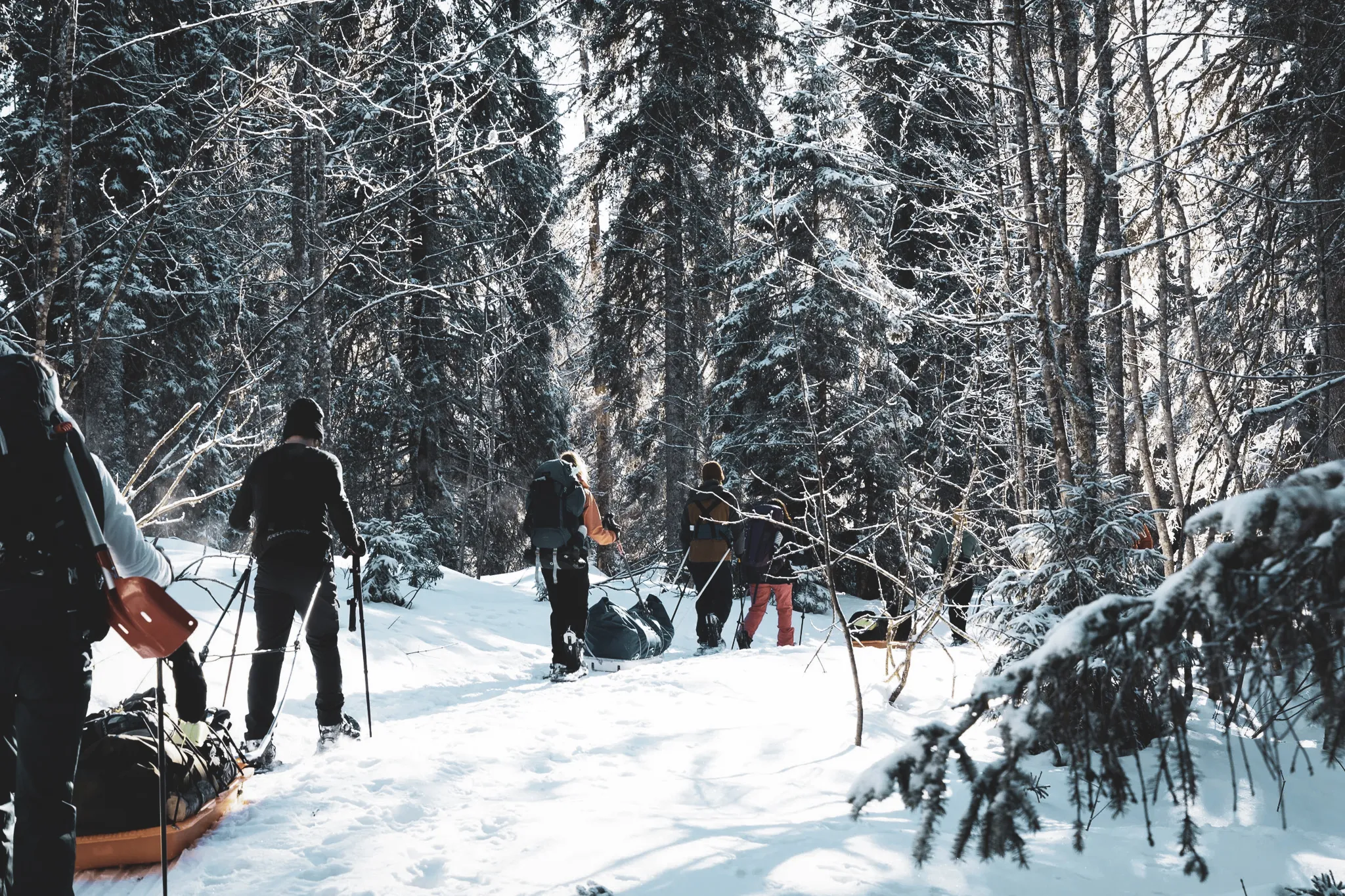 Winter trekking and Pulka in Jura's Wild Heart