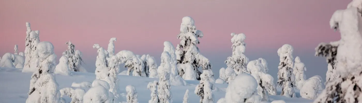Finnish Lapland: Discover the Magical North of Finland