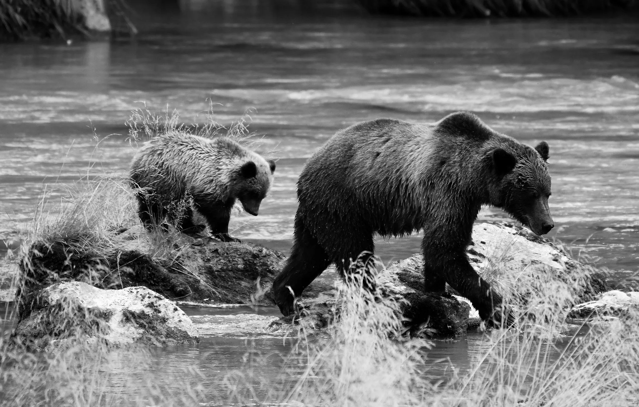 Acting for the Planet