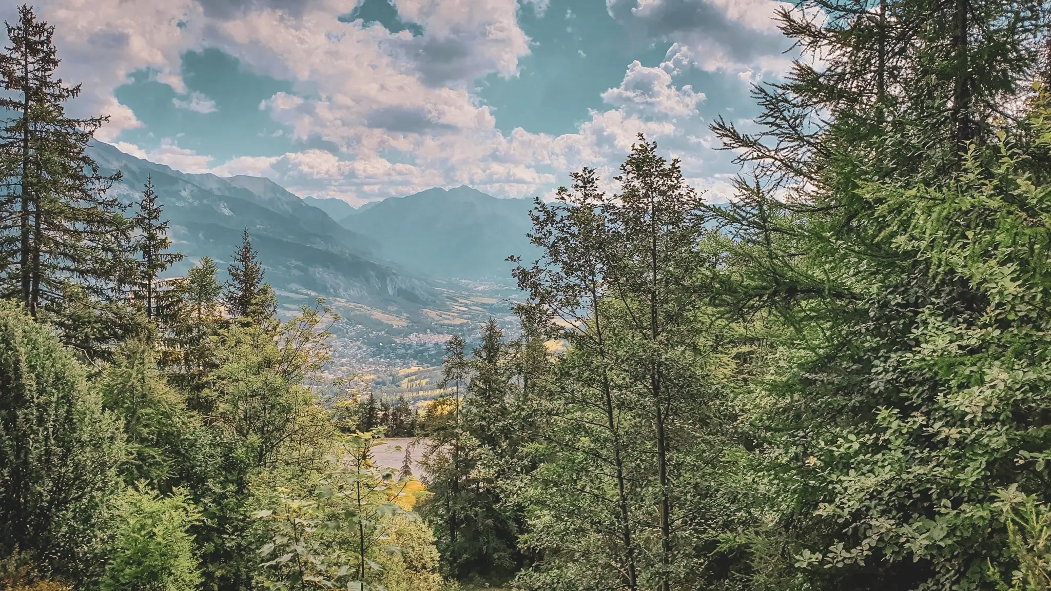 Master survival skills in the southern Alps