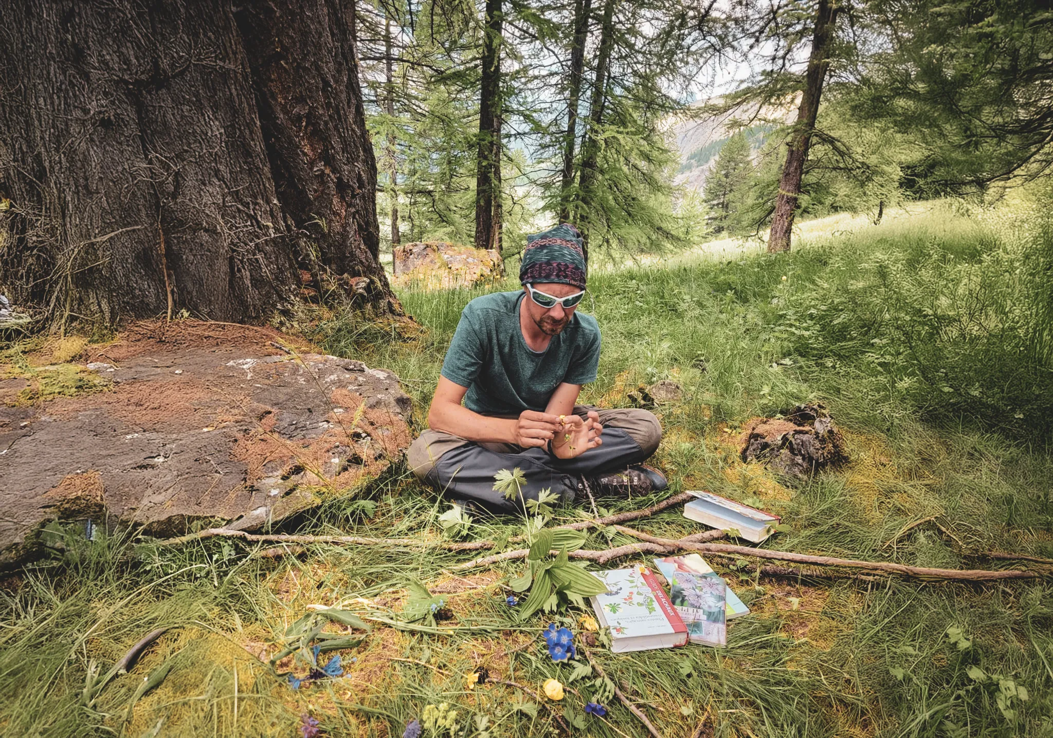 Master survival skills in the southern Alps